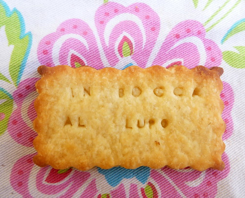 Italian slang: "In bocca al lupo!" - FlorenceItaly